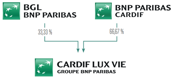 Cardif Lux Vie - Informations financières